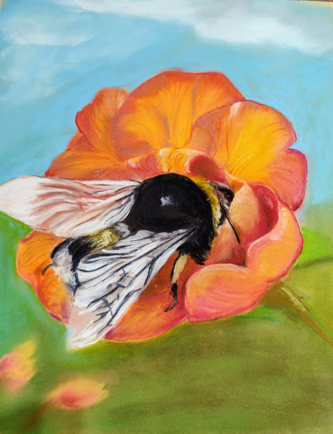 Pastels ~ Insects – Deirdre Bridges Art